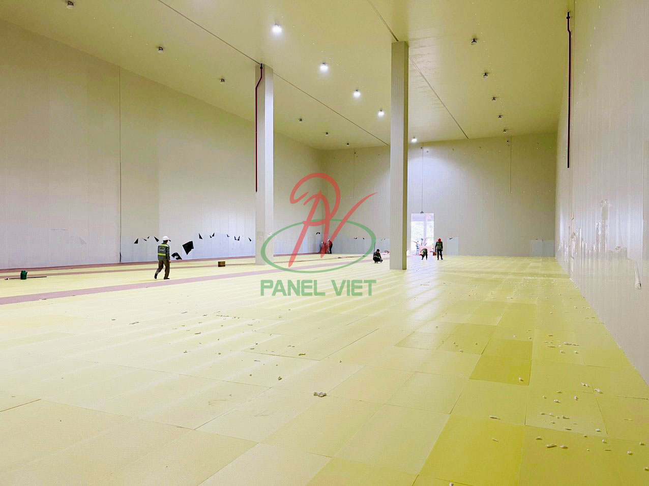 2023 Guide Everything You Need To Know About Panel XPS